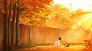 SetLivewallpaper - Free Live Wallpapers, Animated Wallpapers for your ...